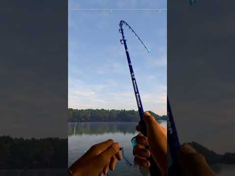Fishing Planet Blue Crab Island Unique Tarpon #fishingplanet #gaming #fishing