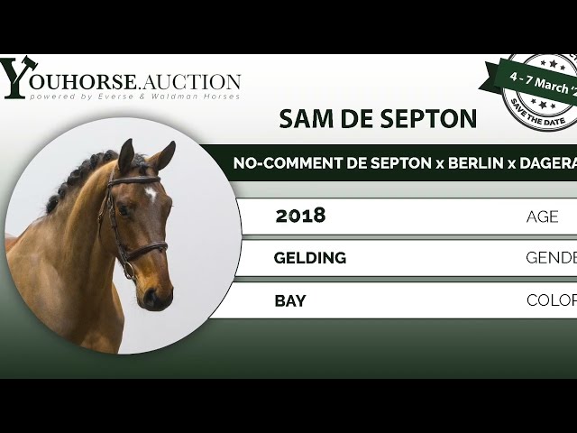 Youhorse.auction | Sam de Septon