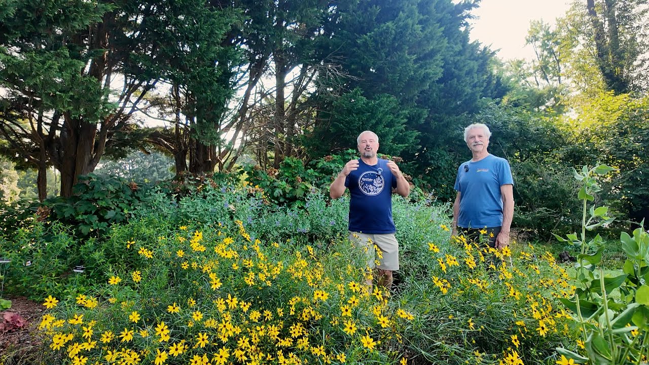 Where Horticulture Meets Ecology at North Creek Nursery