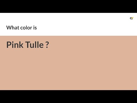 Pink Tulle color #deb59a hex color - Orange color - Cool color deb59a