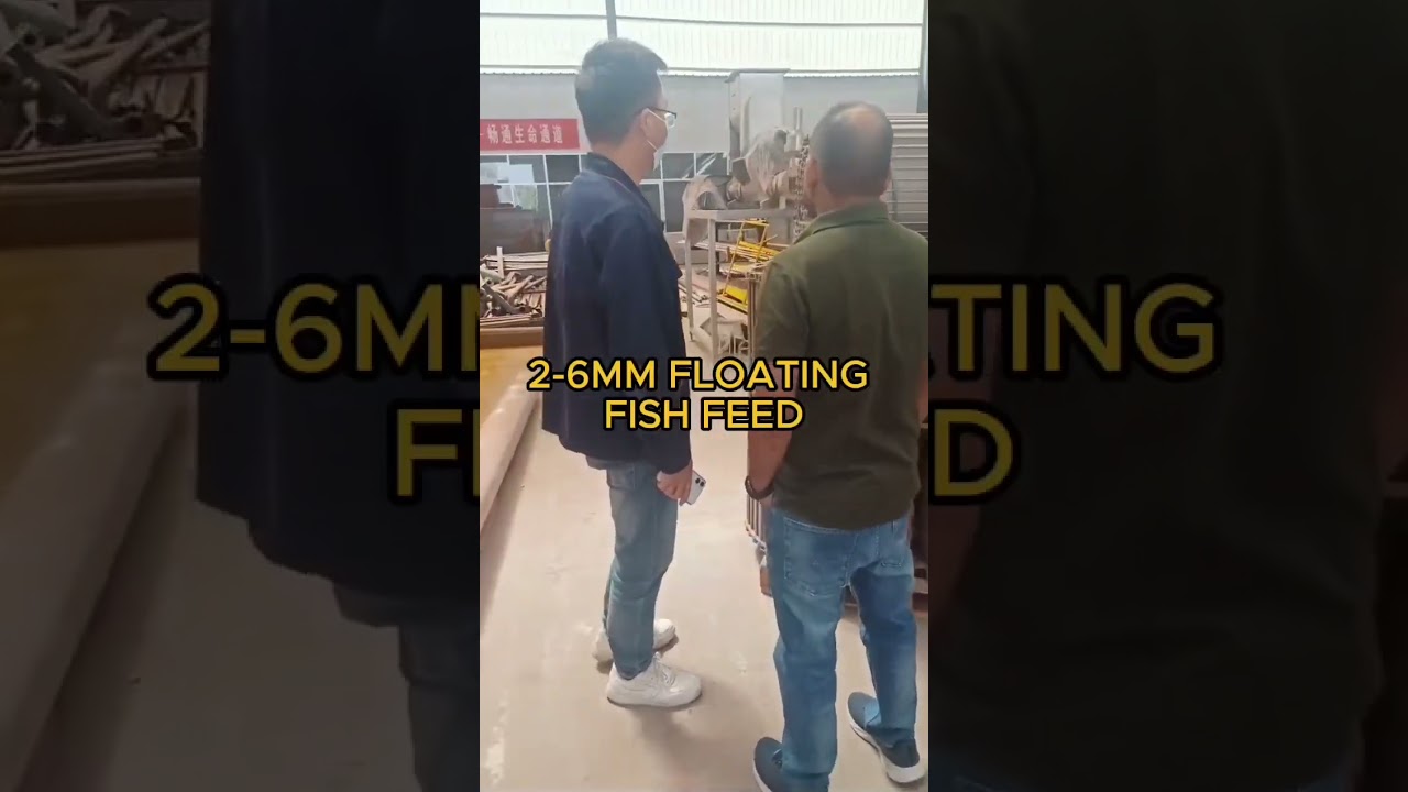 INDIA 2T FLOATING FISH FEED PRODUCTION LINE CLIENT VISIT LEWIS LEE 008613964168998
