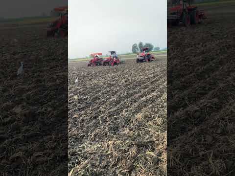 Kubota tractors 🚜 Nawanshahr