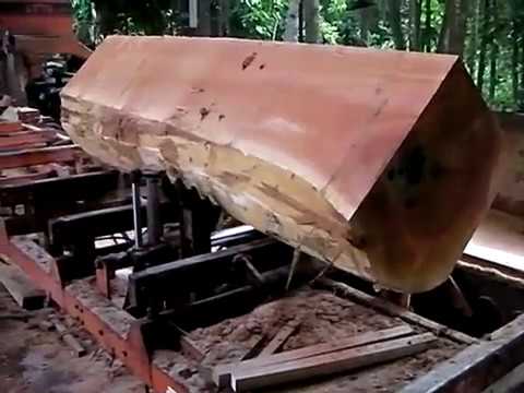 Malaysian Wood - Wood Malaysia Latest Price, Manufacturers & Suppliers