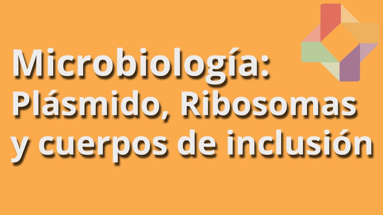 Educatina - Plásmidos Ribosomas y Cuerpos de Inclusión