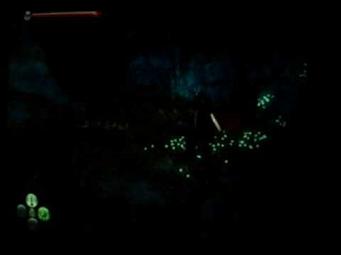 Fable 2 Game Glitch/Freeze