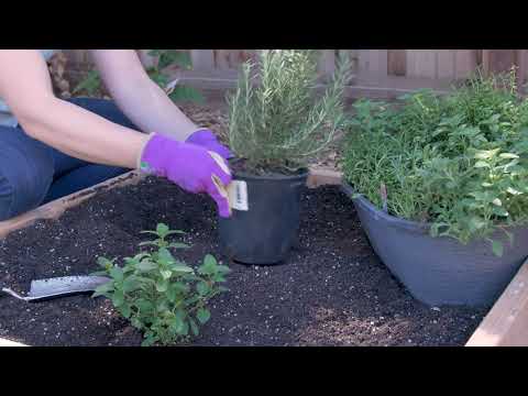 Bloom Instabrace Brown Steel Dragonfly Raised Garden Bed Bracket (4 ...