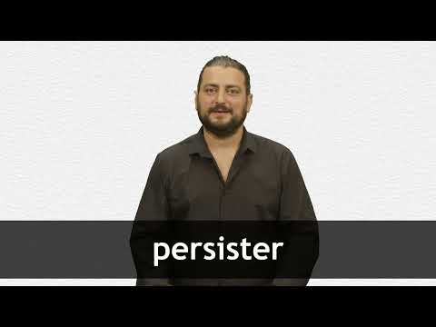 English Translation of “PERSISTER” | Collins French-English Dictionary