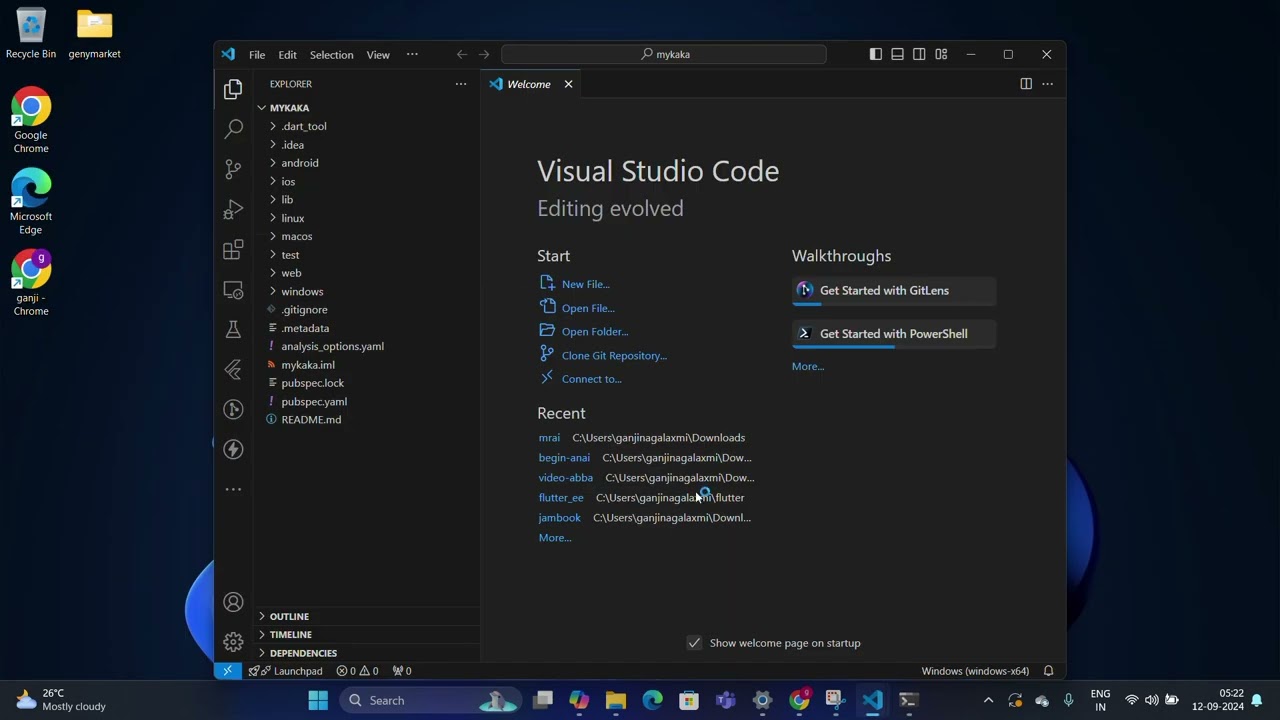 Flutter Responsive UI: Google Clone