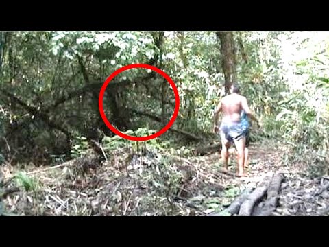 This Hiker Was Exploring This National Park When They Encountered Something Unexpected