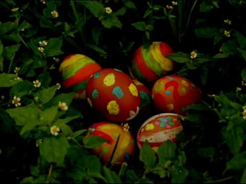 Celebrating Ostara | Nature is Sacred