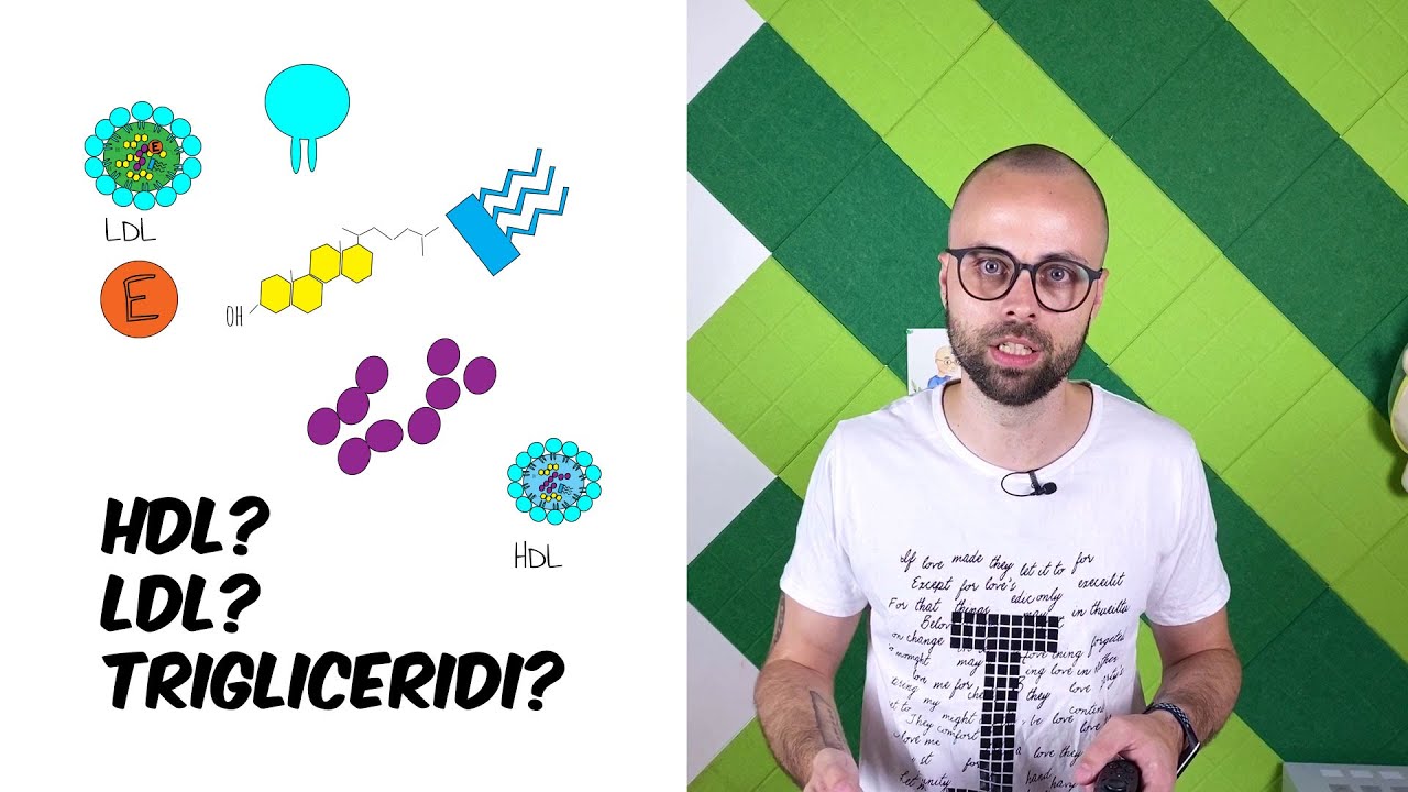 Šta je holesterol i da li je zaista loš? Šta je LDL? Šta je HDL? Šta su triglicerdi?