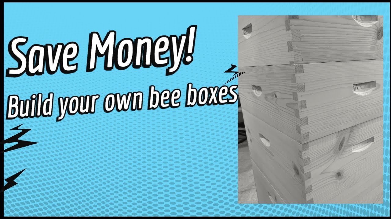 How to build your own bee box