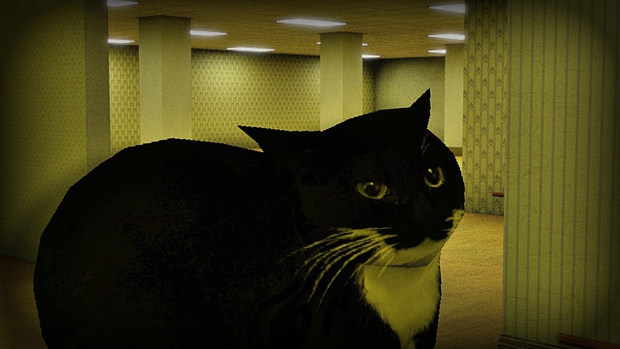 Maxwell the cat in the Backrooms