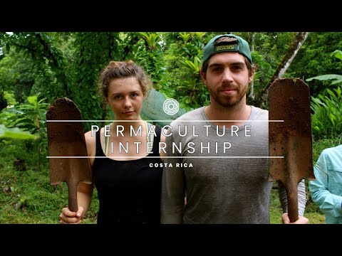 Permaculture Internship - Rancho Mastatal, Costa Rica