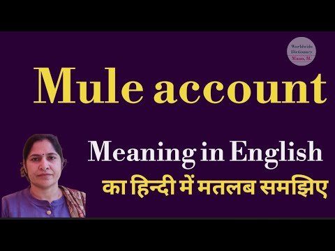mule account meaning l meaning of mule account l mule account ka Hindi mein kya matlab hota hai