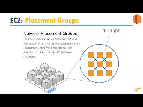 What is AWS EC2 Placement Groups? How can i optimize EC2 costs using different purchase options