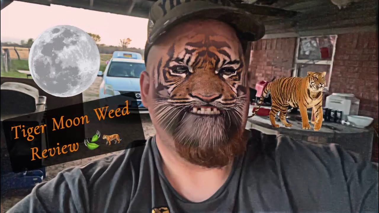 Tiger Moon Weed Review 