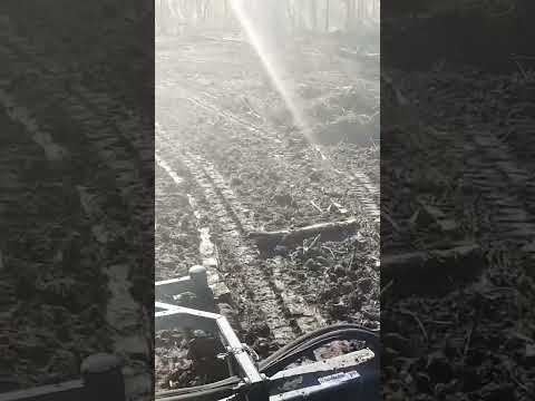 Awesome Bobcat T590 Harley Rake #shorts #heavyequipment