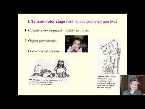 Piaget 3 - The Four stages