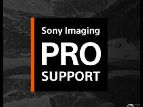 Sony Pro Support Walk-In Centre