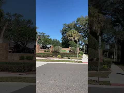 Stopped out in #Brandon #Florida #Tampa