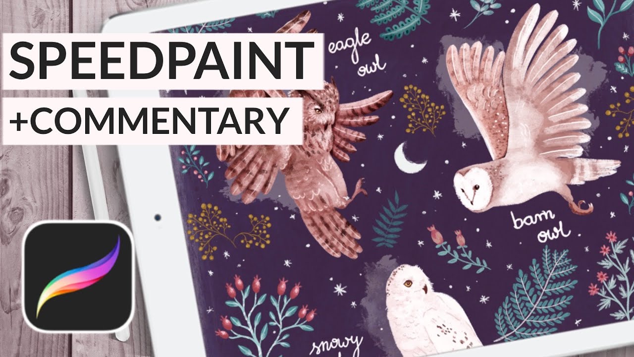 Procreate Owl Tutorial // Procreate Speedpaint Tutorial