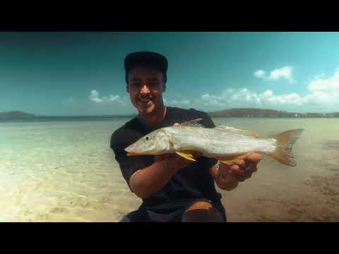 Proper Rigs, Estuary Whiting Rig