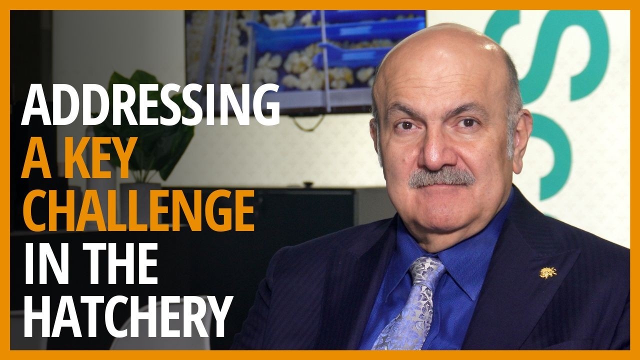 Targan: Addressing a key challenge in the hatchery