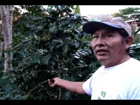 Especial: Primer balance de CNCJ-Perú del 2011 | El boletín del ...