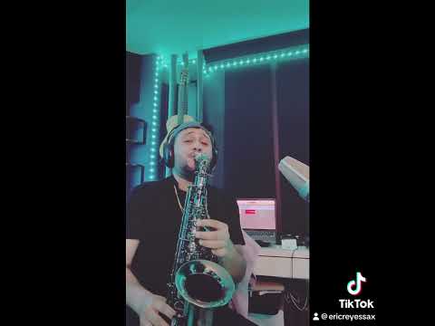 Cannonball Raven Big-Bell Stone Series Alto Saxophone w/case | Reverb