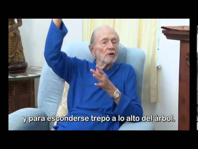 Videos - Ananda Leon