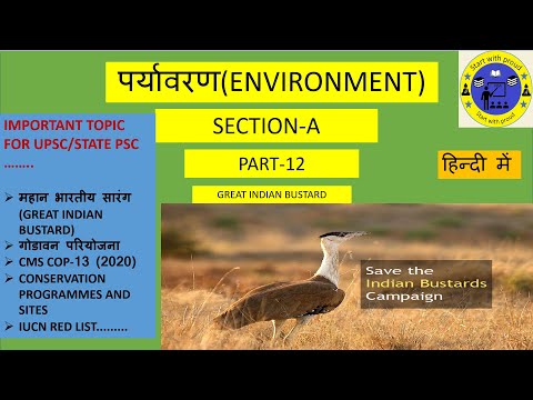 GREAT INDIAN BUSTARD |GREAT INDIAN BUSTARD IN HINDI|GODAVAN PROJECT|CMS COP-13 |ENVIRONMENT FOR UPSC