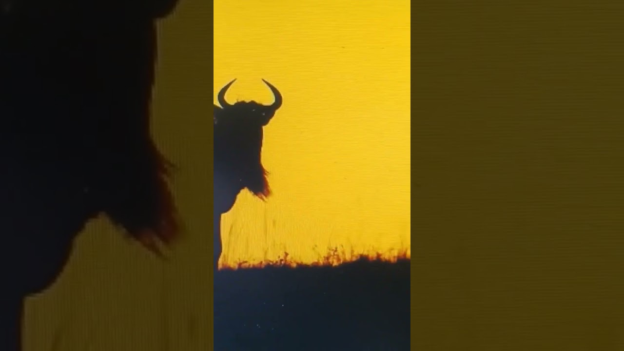 Today bing wallpaper #bing