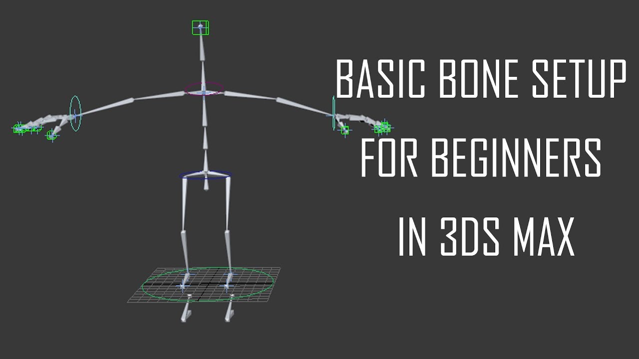 Basic Bone Setup for Beginners in 3Ds Max