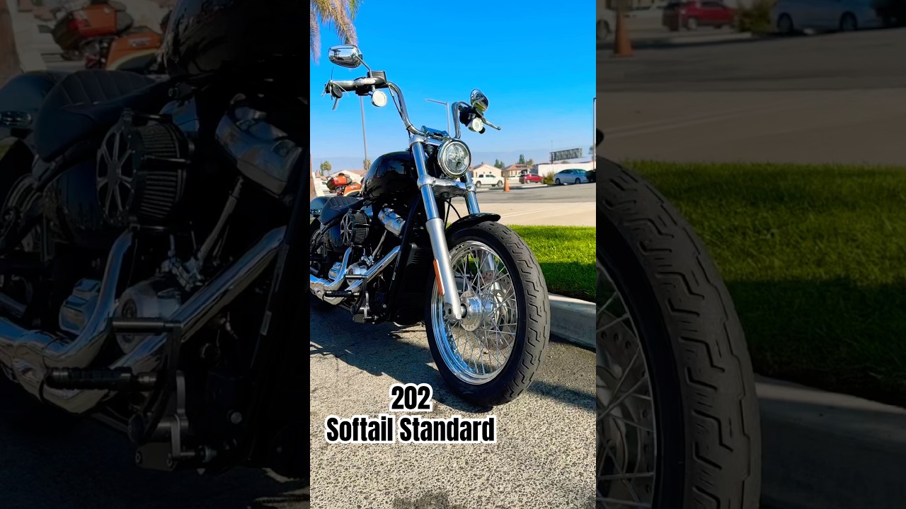 2020 Harley-Davidson® FXST Softail® Standard for Sale in Loma Linda, CA ...