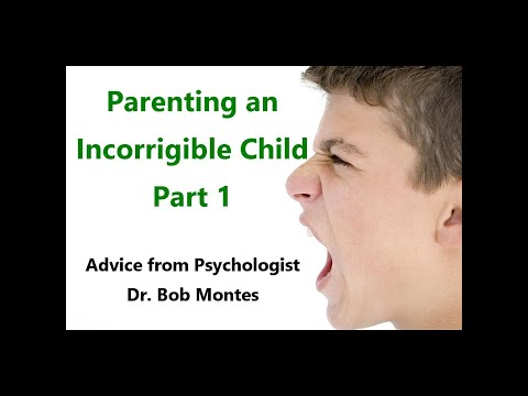 Parenting an Incorrigible Child Part 1