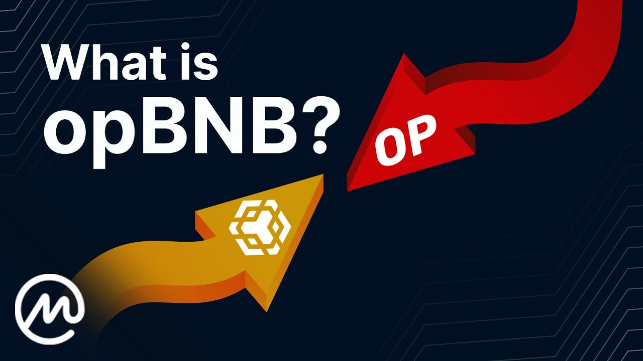 Understanding OpBNB: BNB Chain's New Optimistic Layer 2 Solution | Galaxy.ai