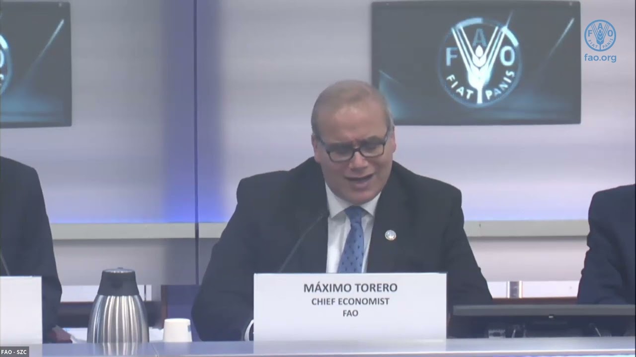 Focus on governance: A framework for more effective policy and technical support