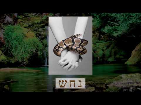 "Serpent" in ancient Hebrew! (Part I)