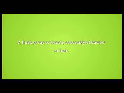 Clump Meaning