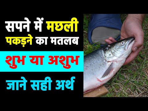 Sapne me machli pakadna | catching fish in dream | Sapne me Machli Pakdne ka Matlab