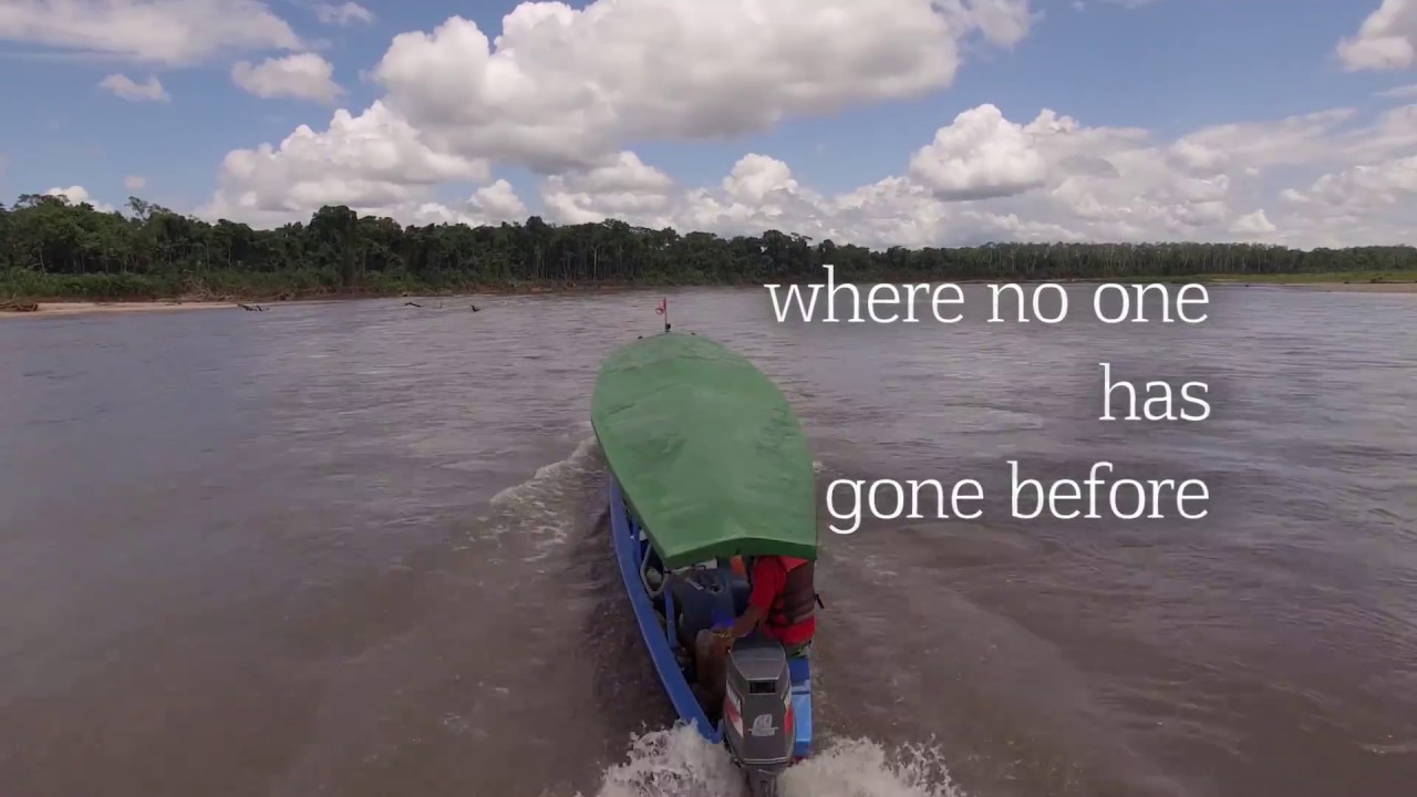 The Macaw Project - Teaser Trailer