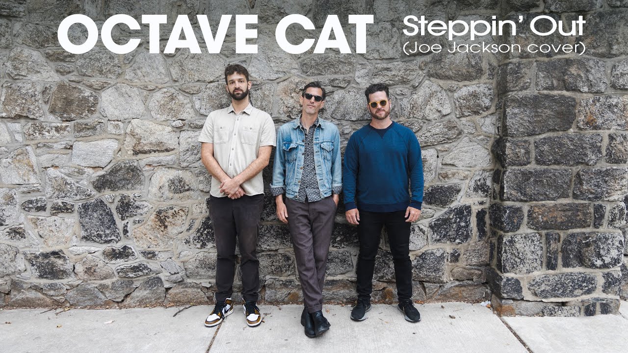Octave Cat - Steppin' Out (Joe Jackson cover) - Live in studio