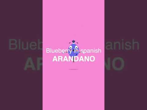 Blueberry in Spanish