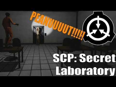 Steam Community :: Video :: PEANUT!! | SCP: Secret Laboratory