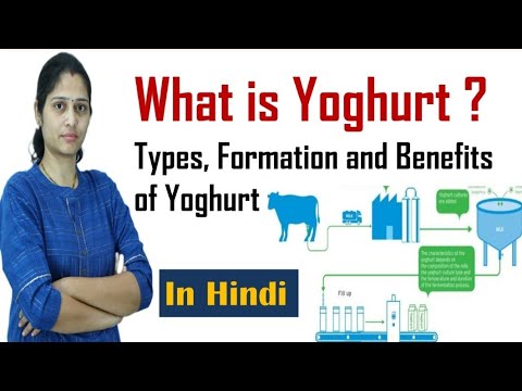 Yoghurt Production | Types of Yoghurt | Health Benefit of Yoghurt | In Hindi