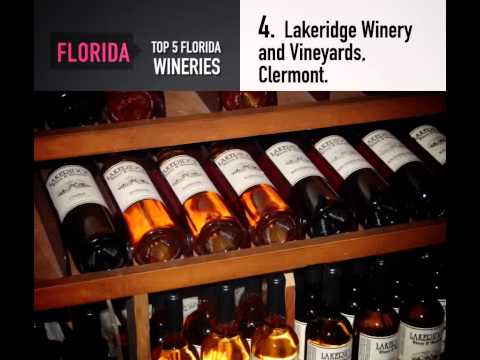 Florida ( Top Wineries )