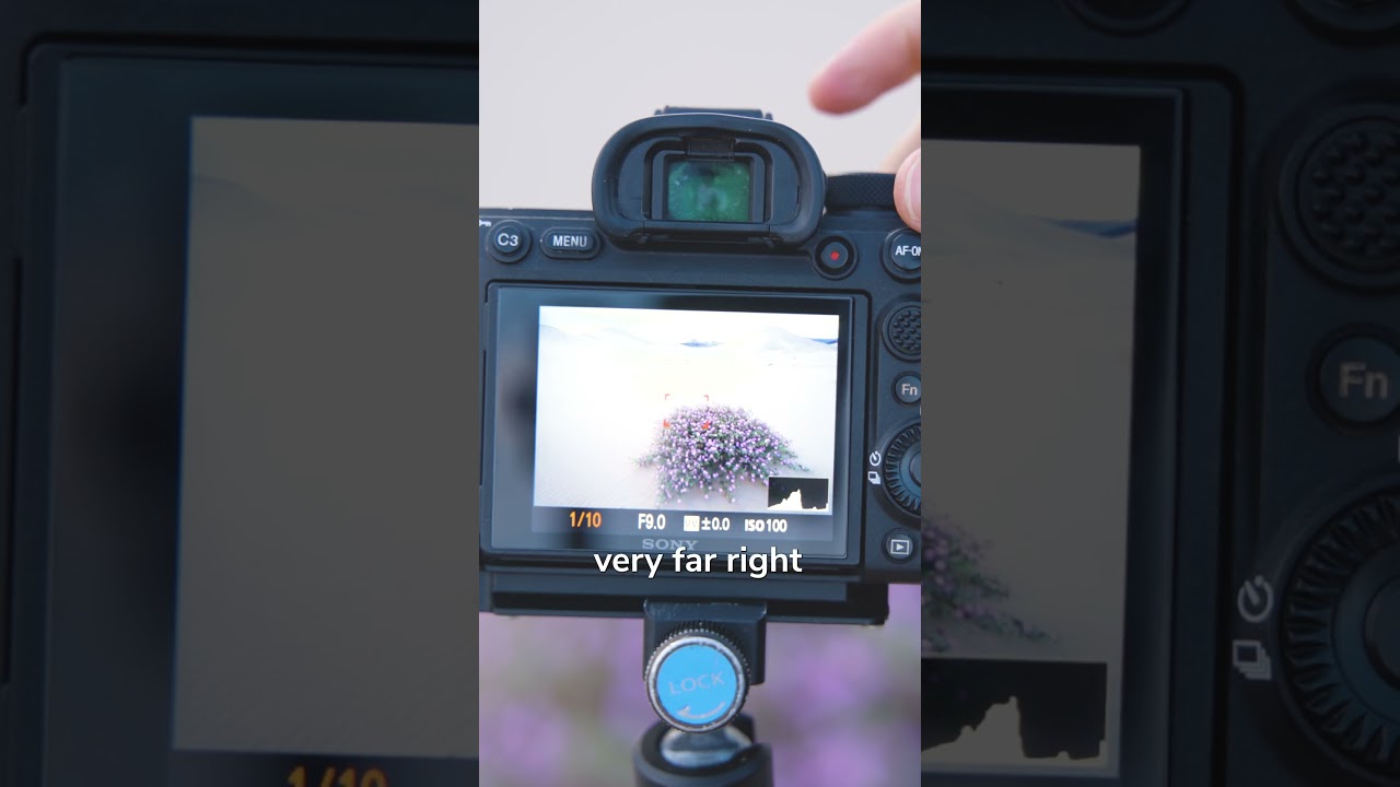 How to use your camera's histogram to properly expose your photos