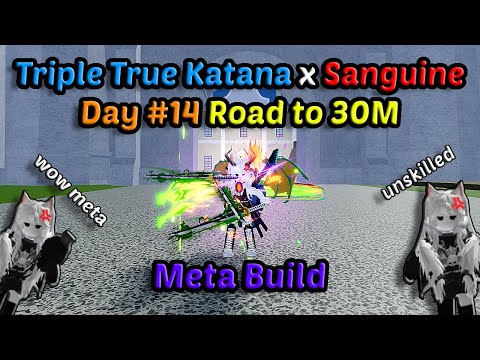Day #14 From 2,5M Road to 30M With TTK Combo Portal Sanguine ART Blox Fruits Bounty Hunting Meta