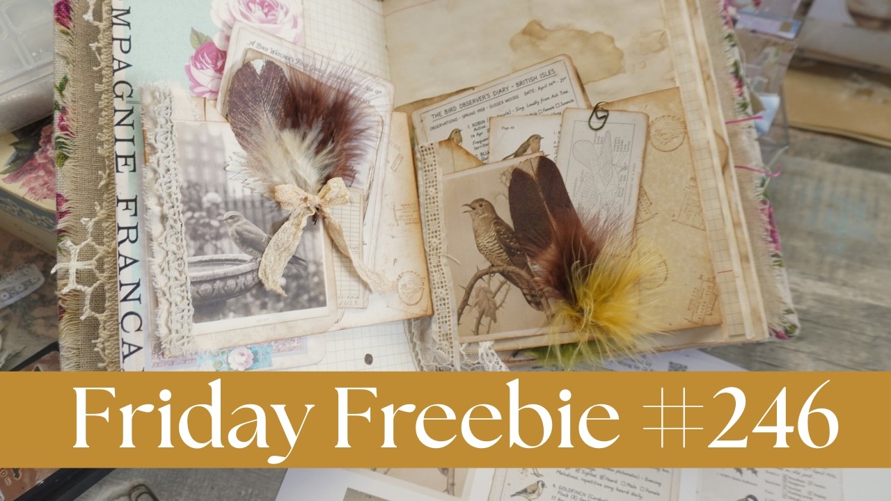 Friday Freebie #246